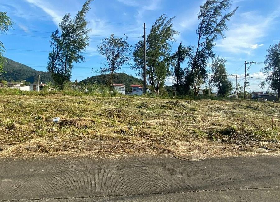 LOT ONLY IN WOODLANDS SUBDIVISION IN CALAMBA CITY