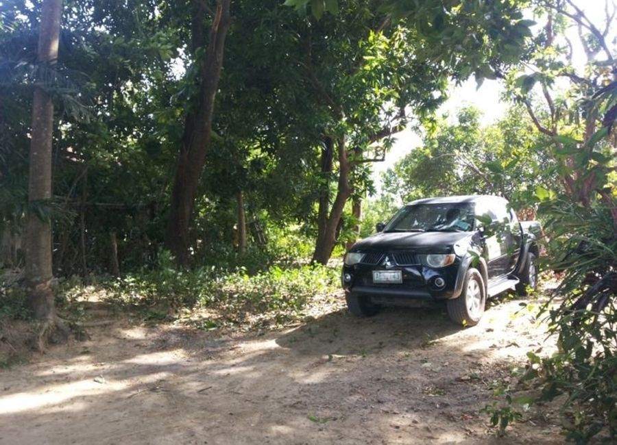 3,113 Sqm Agricultural lot for sale, Caba, La Union