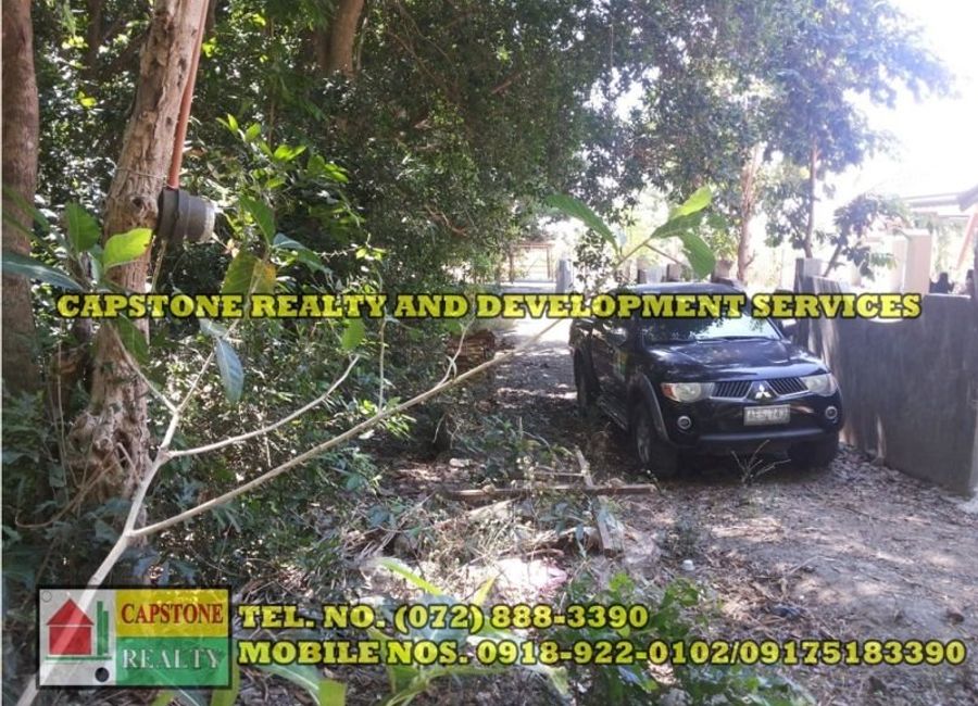3.2 HEC LIVESTOCK FARM WITH TREES IN BACNOTAN, LA UNION