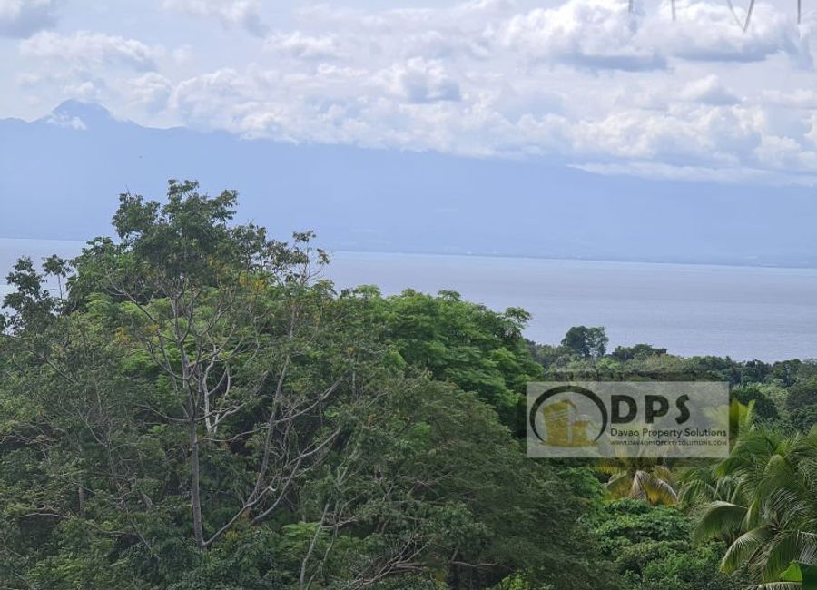 30,000 Square Meters Farm Land along the road + Overlooking to Talikud ...