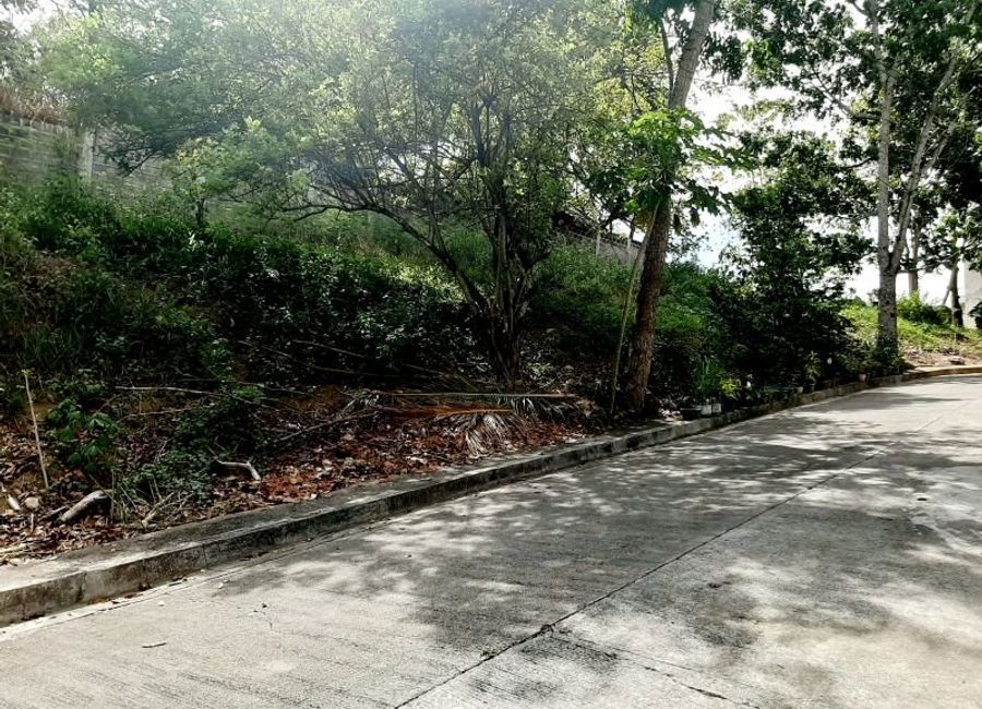 Lot for Sale in Metropolis, Talamban, Cebu City