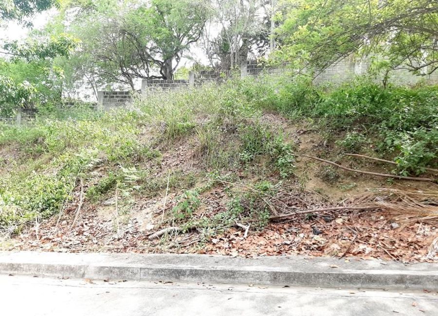 Lot for Sale in Metropolis, Talamban, Cebu City