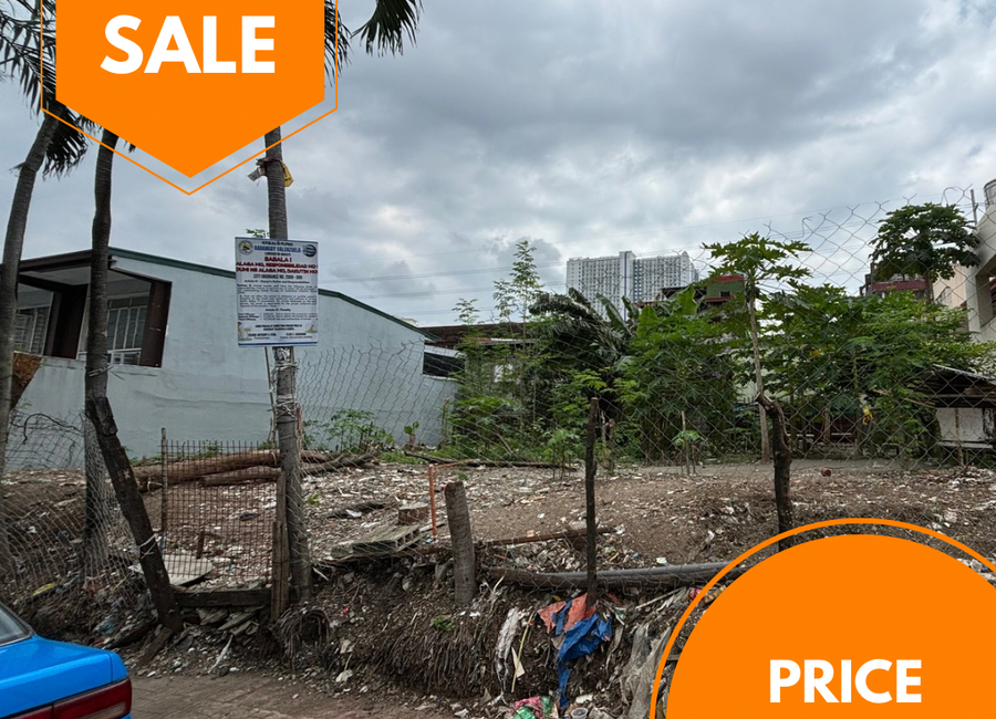 400 sq. meters Residential Lot for sale at Baler Street, Makati City