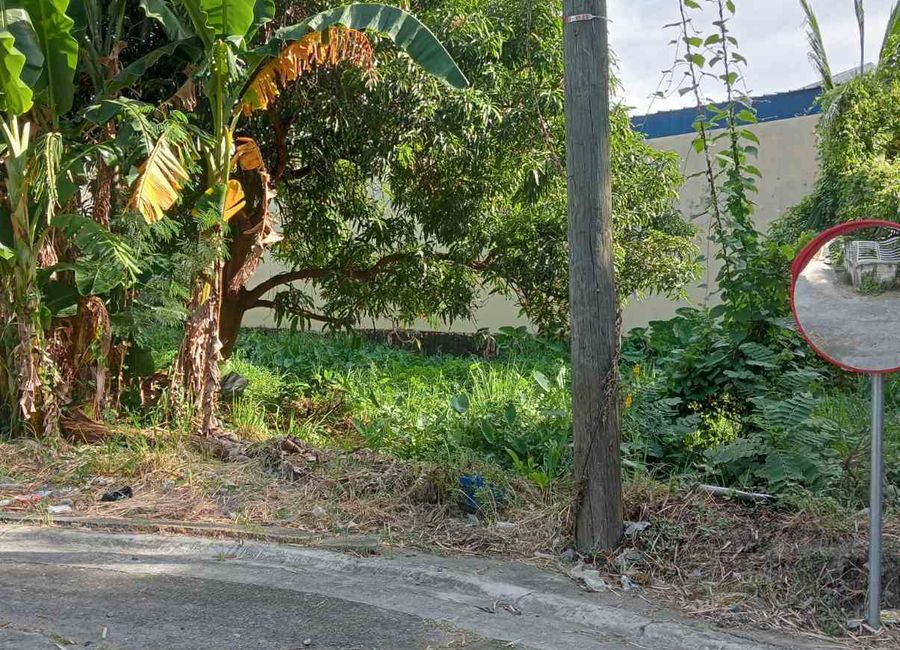 Residential Lot for Sale in Annex 31, Better Living Parañaque City
