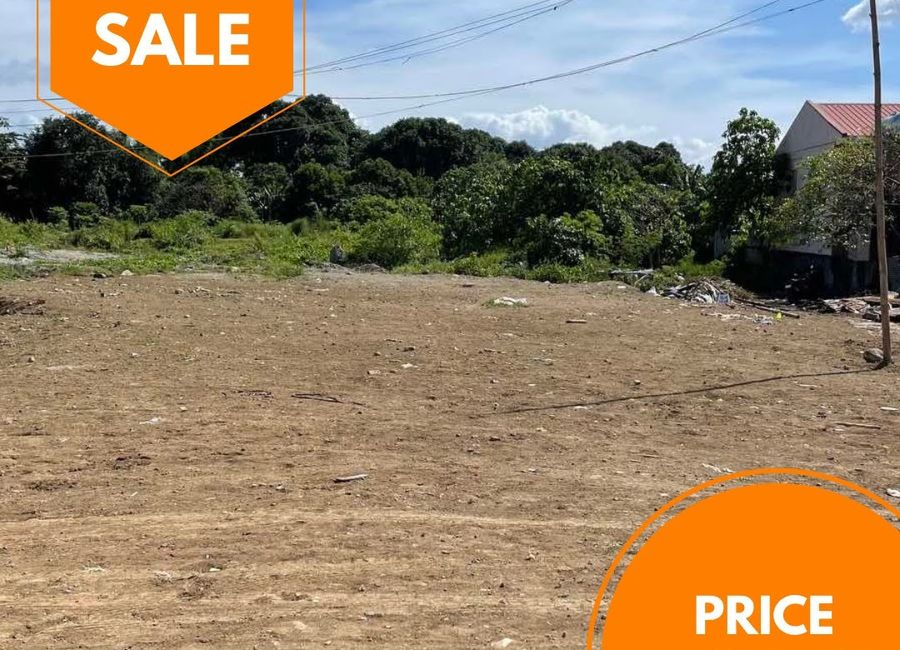 For Sale 1.3 Hectares Daang Hari Vacant Lot in Anabu, Imus, Cavite