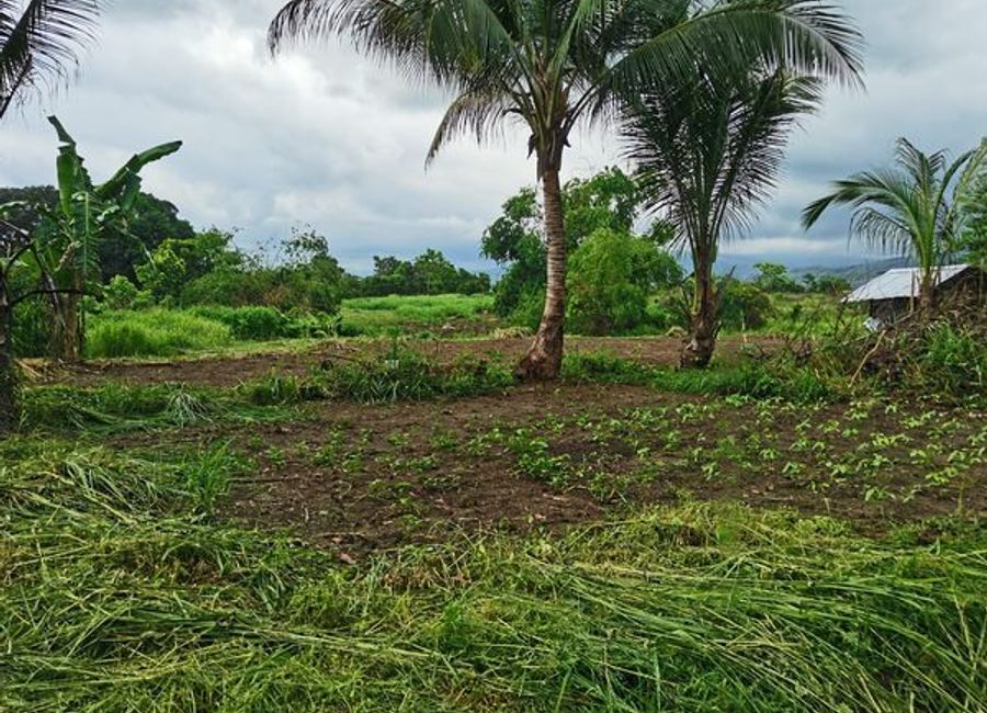 Titled Lot - Perfect for retirement or farm rest house