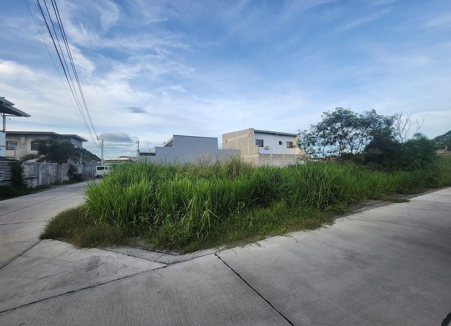 Residential Lot For Sale in Remediosville Capaya 1 Angeles City