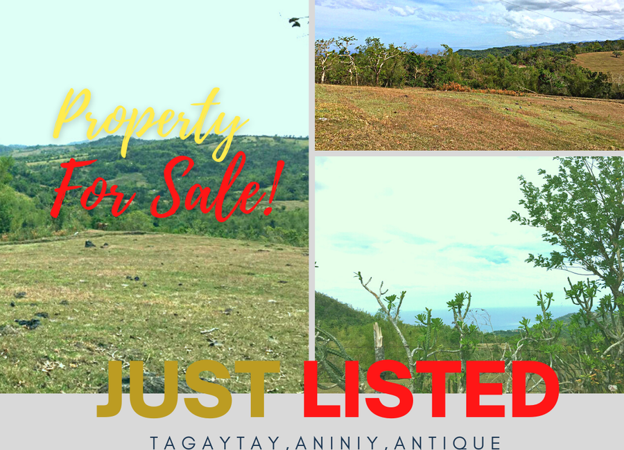 1000 sq. meters Agricultural Lot For Sale Located in Anini-y, Antique