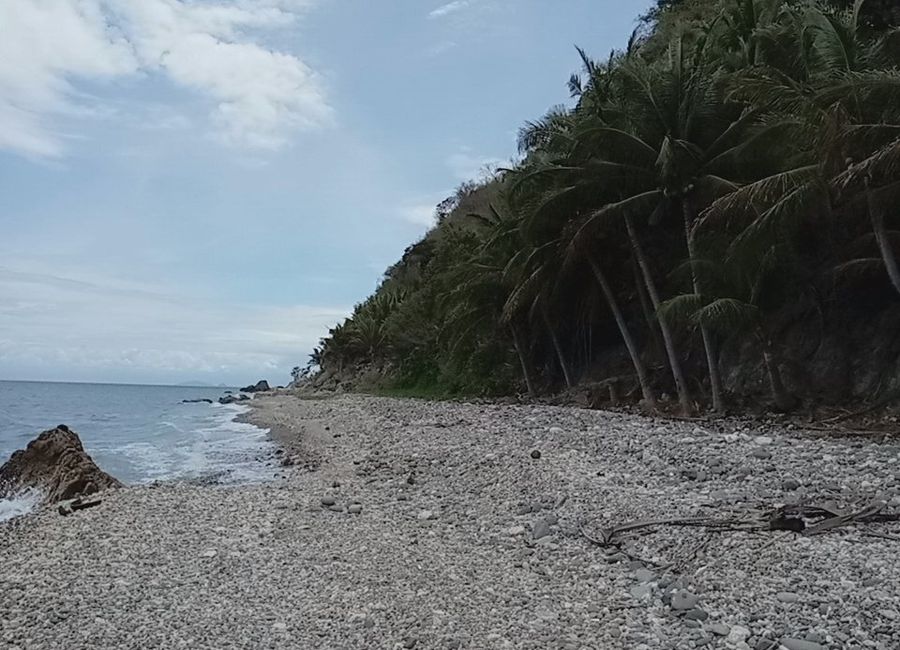 For SALE: Beachfront lot in Lobo, Batangas