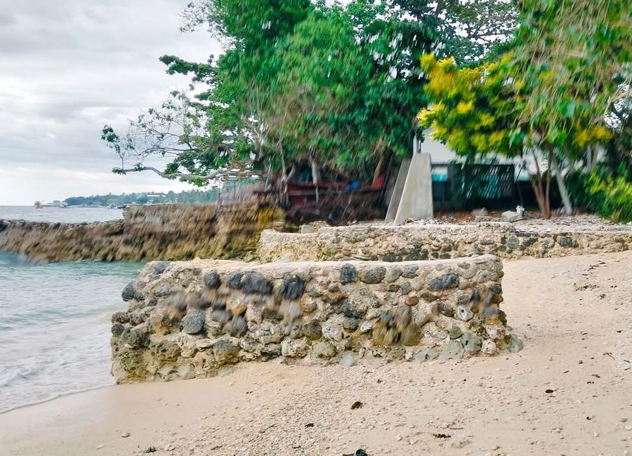 Titled Beach Lot in Samboan, Cebu