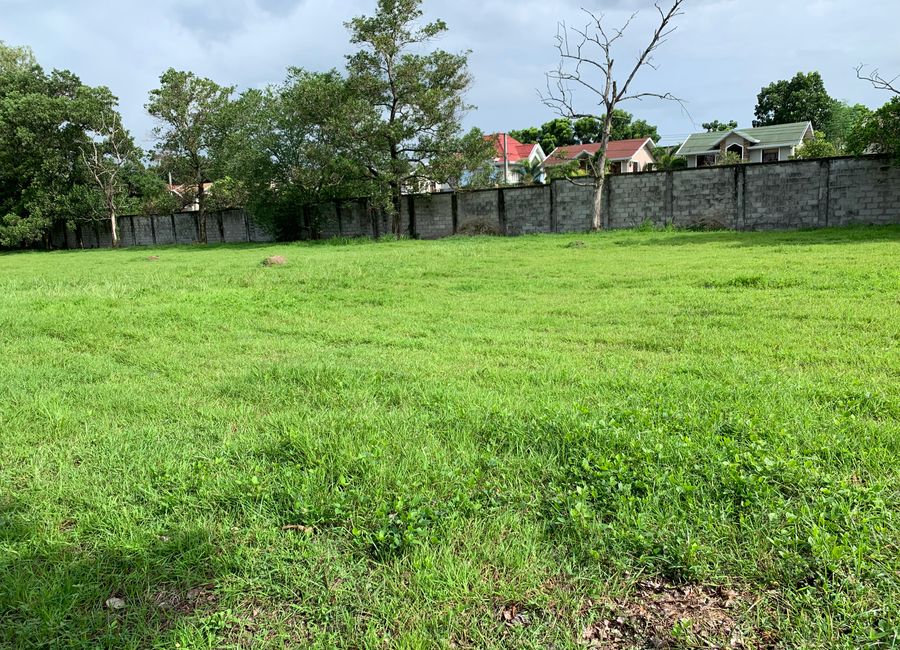 Vacant lot for Sale in Punta Verde Subd 450 sqm in Pulung Cacutud, Angeles
