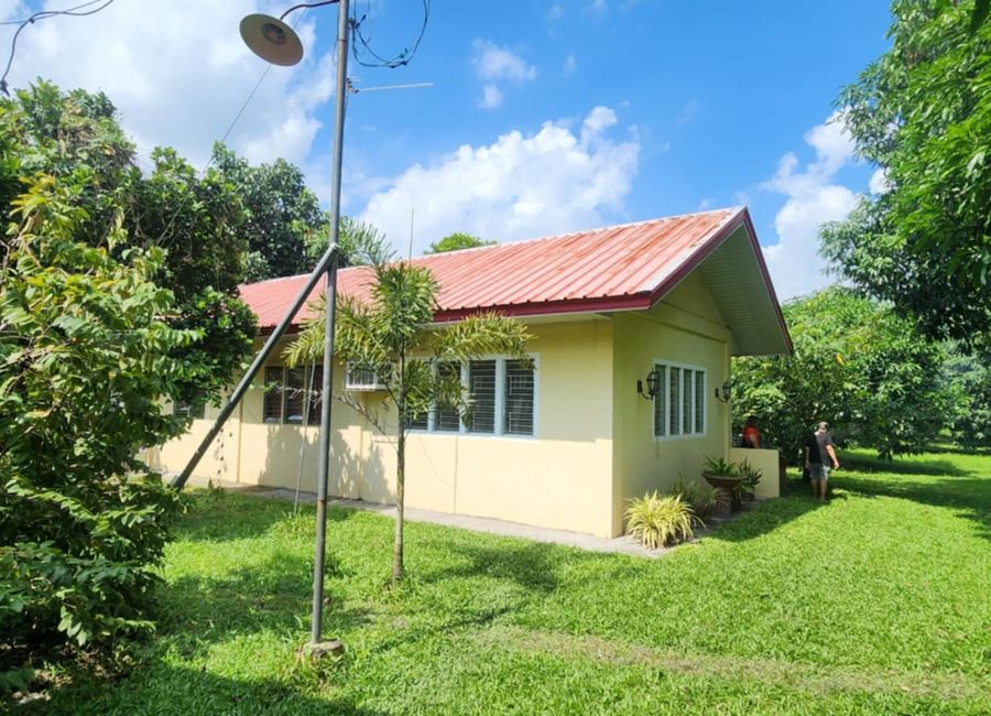 3.6 Has Orchard Farm with Rest house Arenas Arayat Pampanga