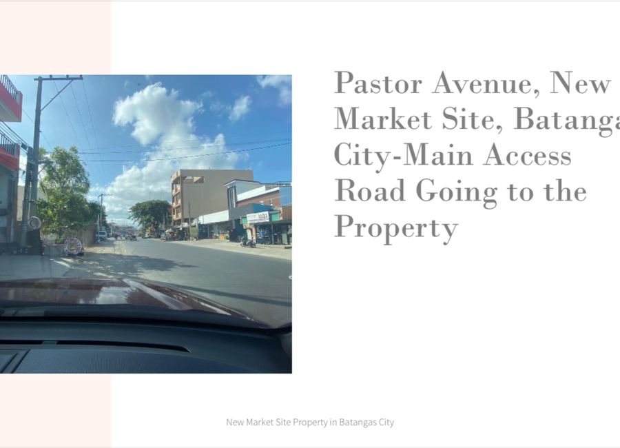 Batangas City Commercial / Residential Land 1.2446 hectares at Heart of ...