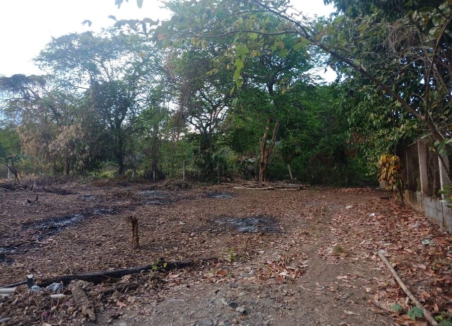 798 sqm Titled Lot for sale in Puerto Princesa - Ideal location