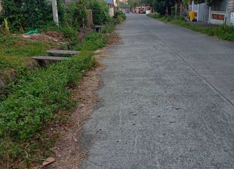 600 sq. meters Residential Lot For Sale in Manggahan, Toril, Davao City