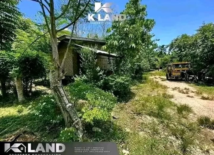 AFFORDABLE 200 SQM LOT IN BABAK SAMAL ISLAND FOR SALE CASH OR INSTALLMENT