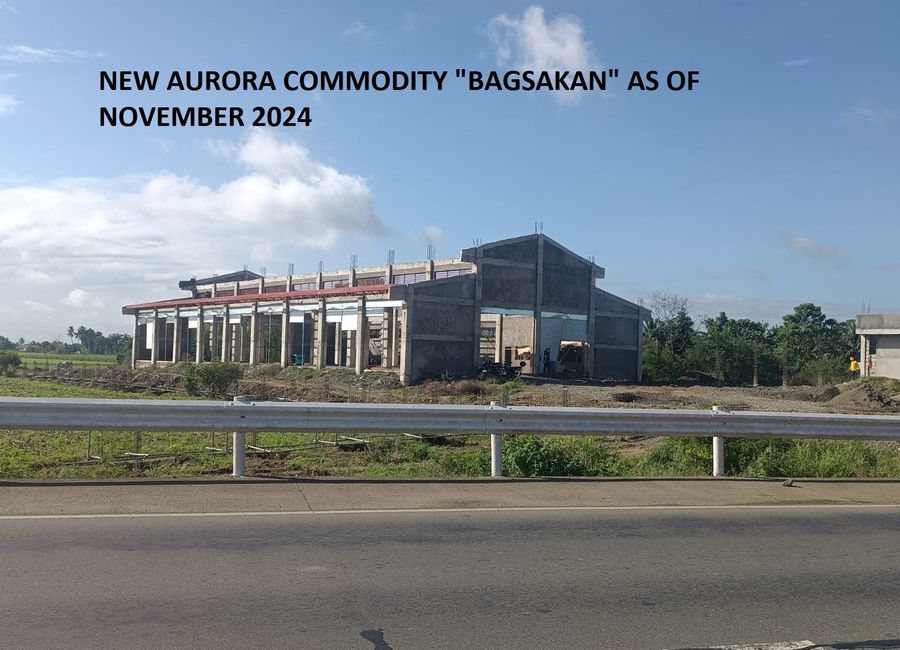 Prime Agri/Commercial Lot for Sale near New Municipal Hall Of Aurora ...