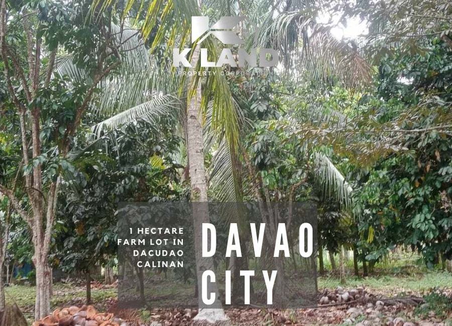 Versatile 1-Hectare Farm Lot in Dacudao, Calinan, Davao City
