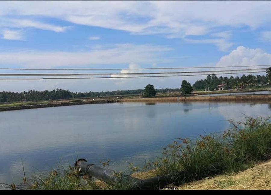 60 Hectares fully developed Fishpond for Sale
