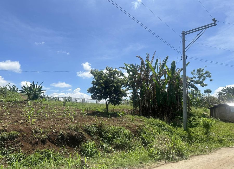 1 Hectare overlooking property in Eden-Bayabas Toril