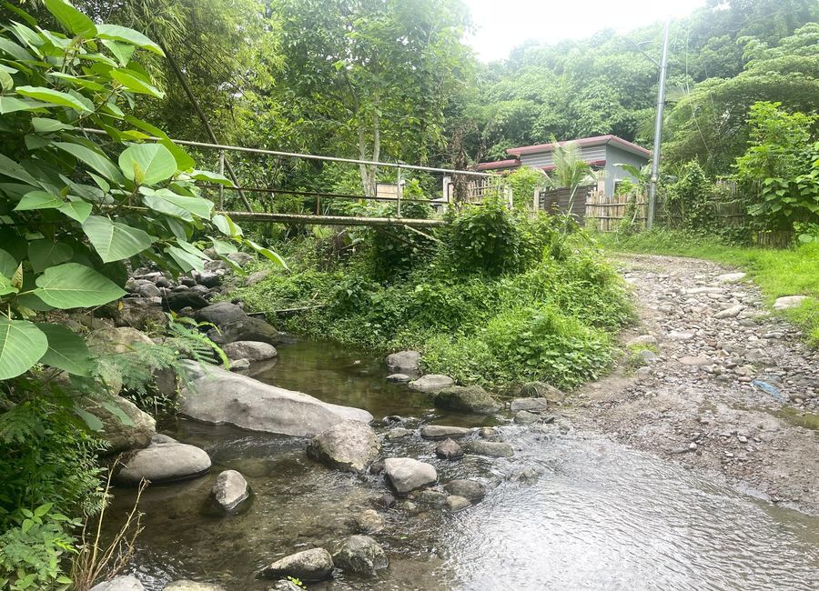 BATAAN FARM LOT @ DINALUPIHAN BATAAN FOR SALE - 9.8M