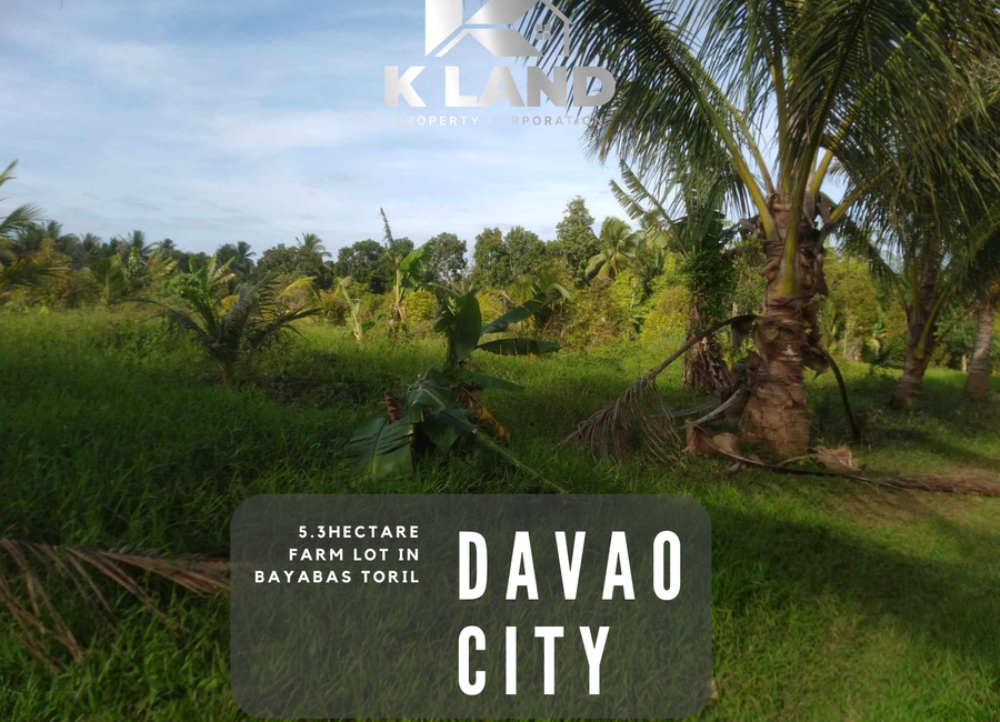 Prime 5.3 Hectares Lot for Sale in Crossing Bayabas, Toril