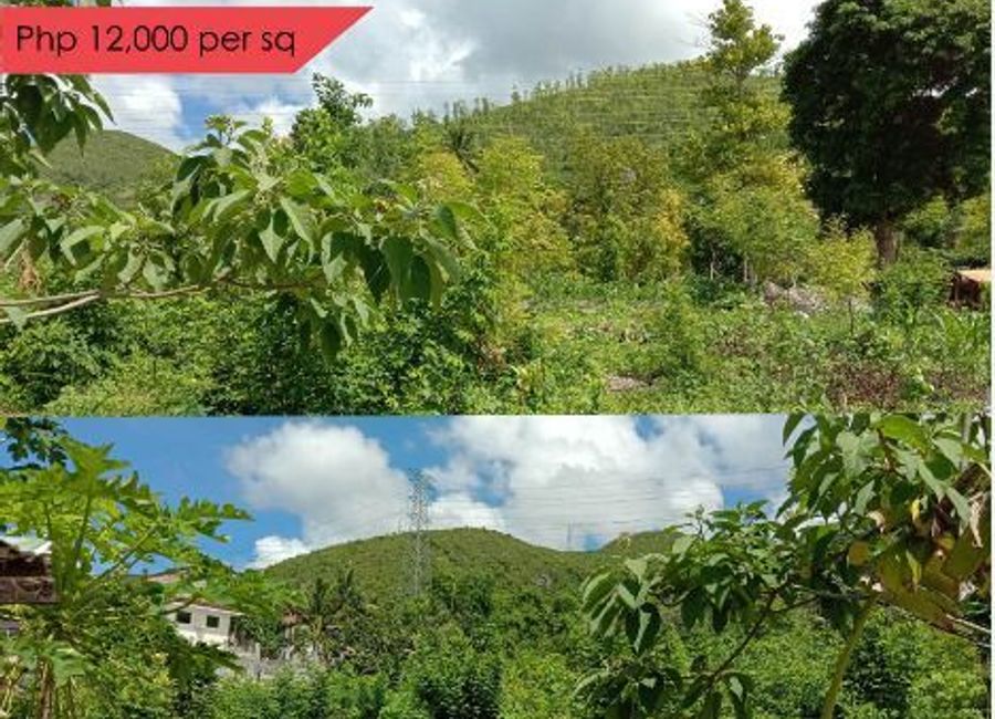 Property # 178 Agricultural Lot for sale in Tuyan Naga, Cebu