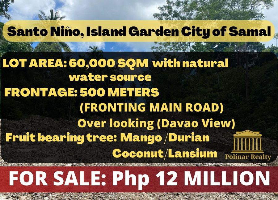 6 HAS Agricultural Lot is For Sale at Babak, Samal, Davao del Norte.