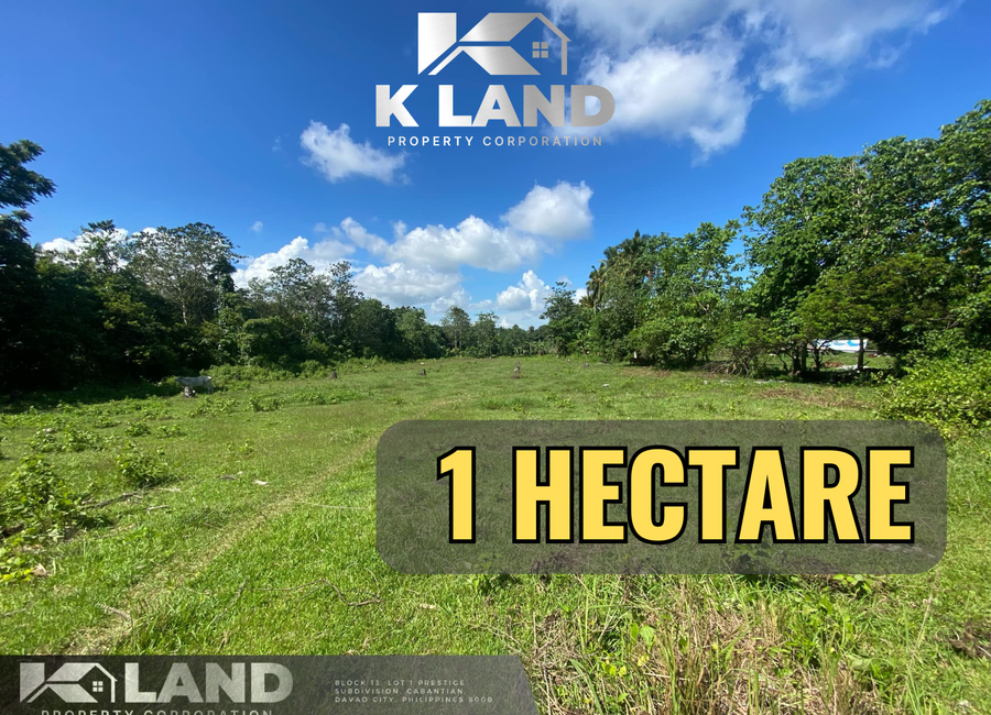 Agricultural Opportunity in Camudmud, Samal Island!