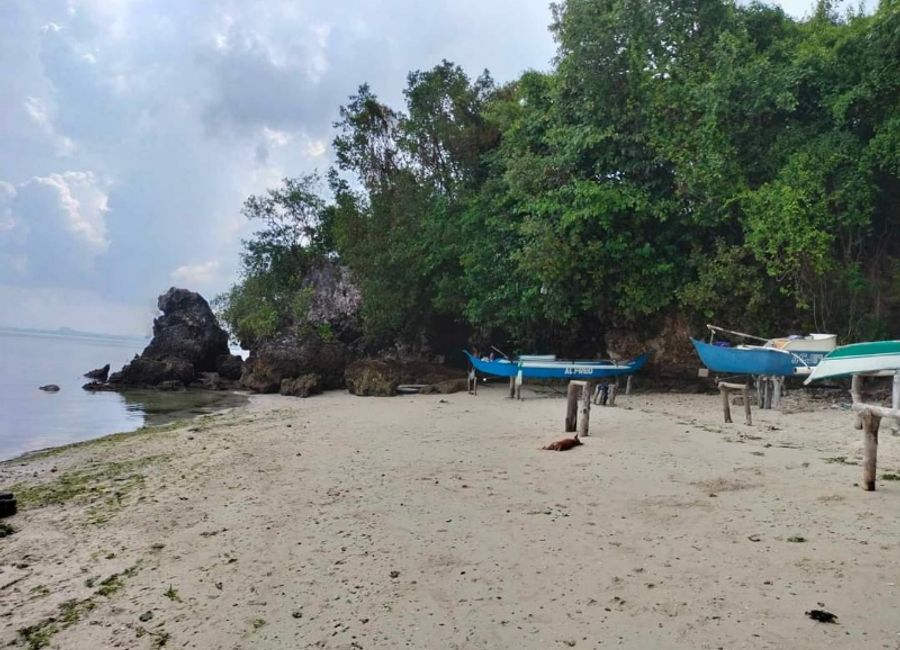 Beach Lot For Sale @ Bingag, Dauis, Bohol
