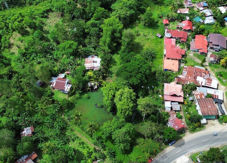 COMMERCIAL LOT FOR SALE situated in Corella, Bohol
