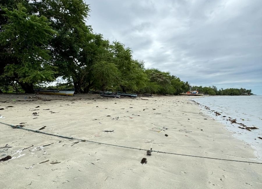 Beach Front Vacant Lot FOR SALE, Brgy. Bolitoc, Santa Cruz, Zambales