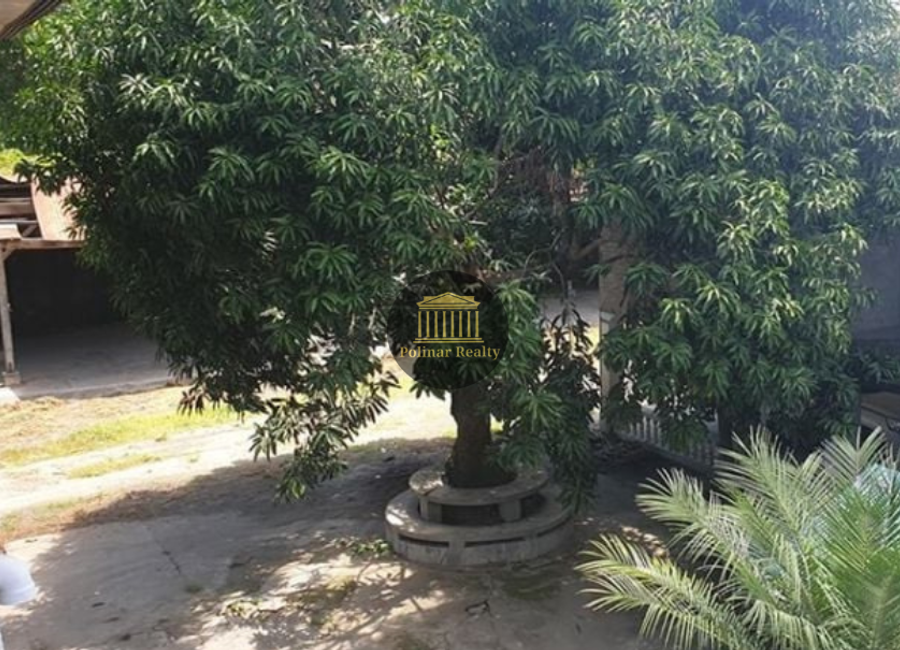 COMMERCIAL LOT FOR SALE at Tacurong City Población