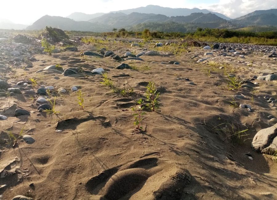 4.2 Hectares Quarry Land in Bambang, Nueva Vizcaya