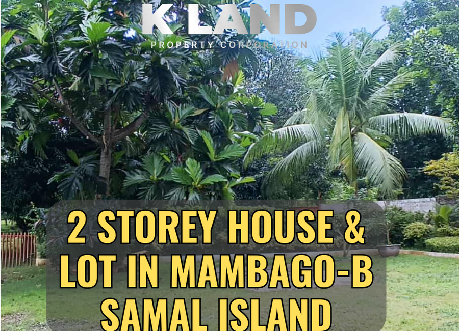 2 STOREY HOUSE & LOT IN MAMBAGO-B SAMAL ISLAND