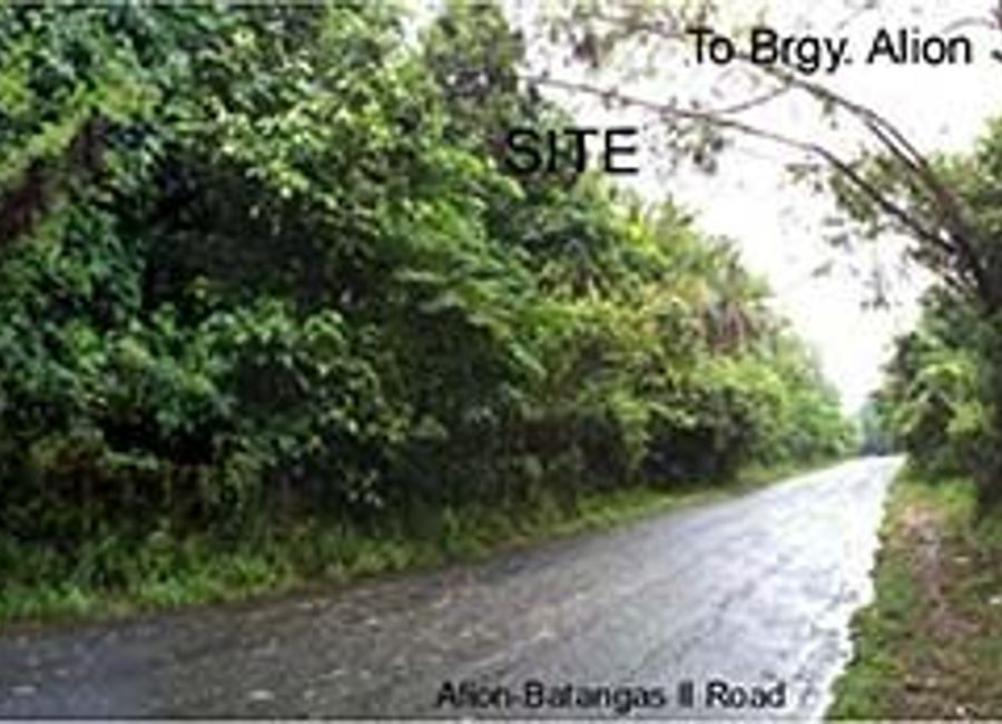 L-I-1-1: Acquired Property for Sale in Lot 756, Alion - Batangas Barrio ...