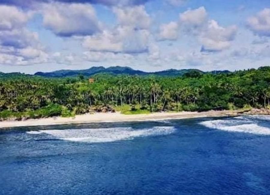 Siargao Island White Sand Beach Front Lot With Elevated/Overlooking Portion