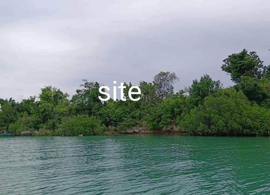 Beach lot for sale in Badian, Cebu separated island