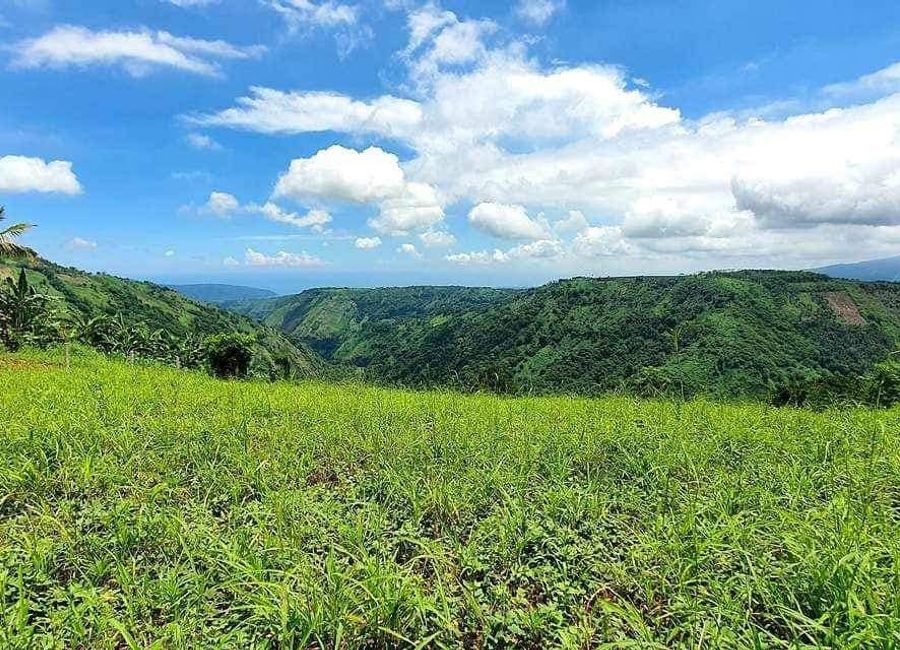 2 Lots in Claveria Misamis Oriental