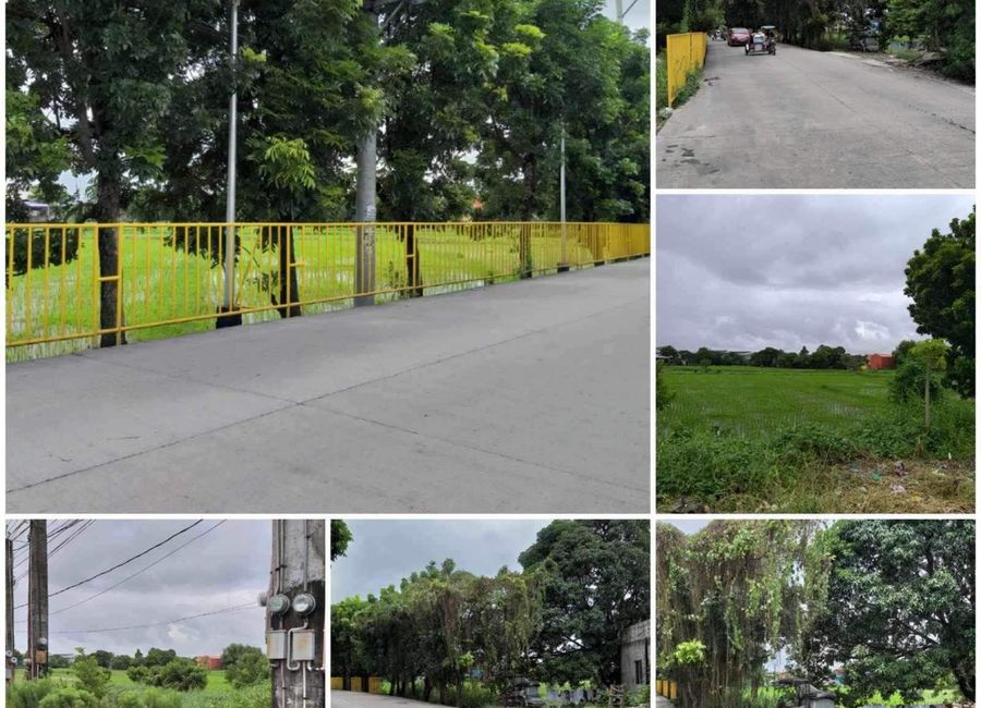 🌳 Prime Bare Lot for Sale Near Marilao, Bulacan Exit! 🚀 Ideal for ...