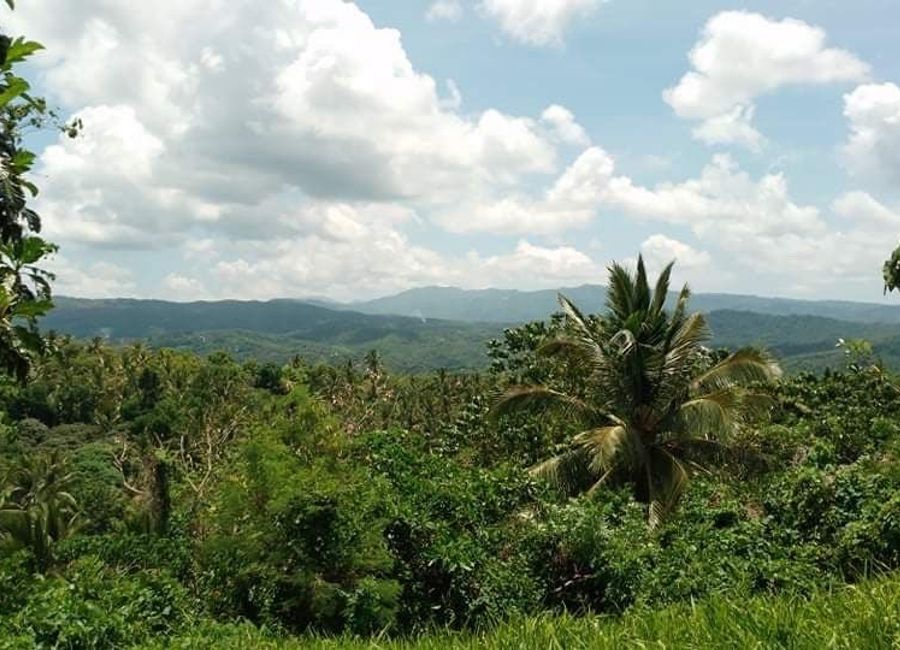 TANAY FARM LOT FOR SALE WITH UPDATED RPT AND CLEAN TITLE