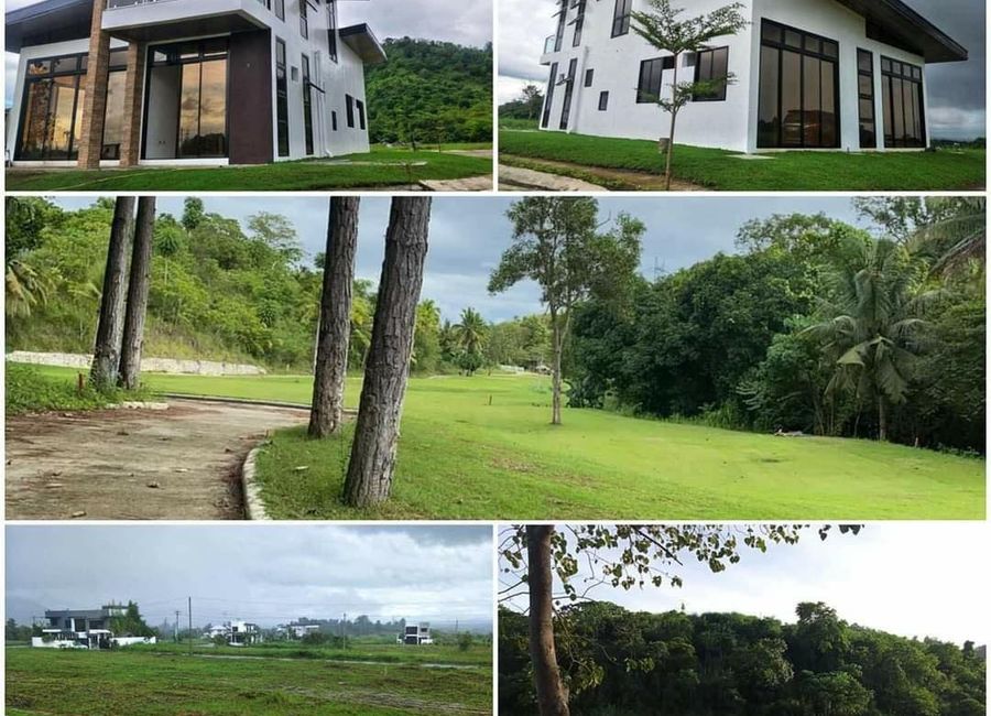 West Highlands Subdivision Pre-selling House | Platinum