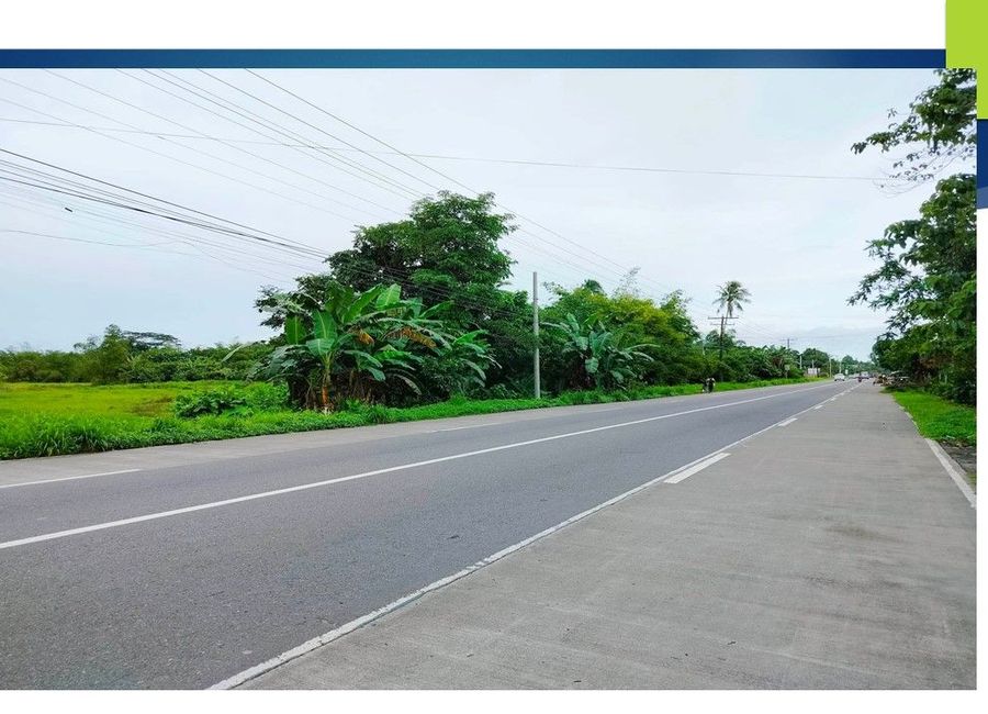 14 Hectares Land along National Highway in Alang-alang, Leyte