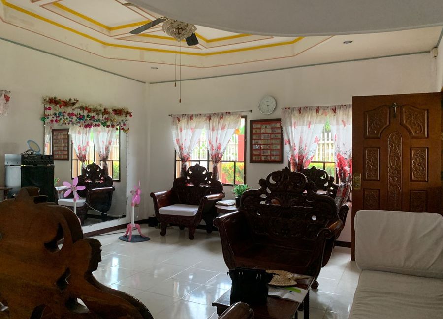 HOUSE AND LOT FOR SALE IN AMLAN ID 14771