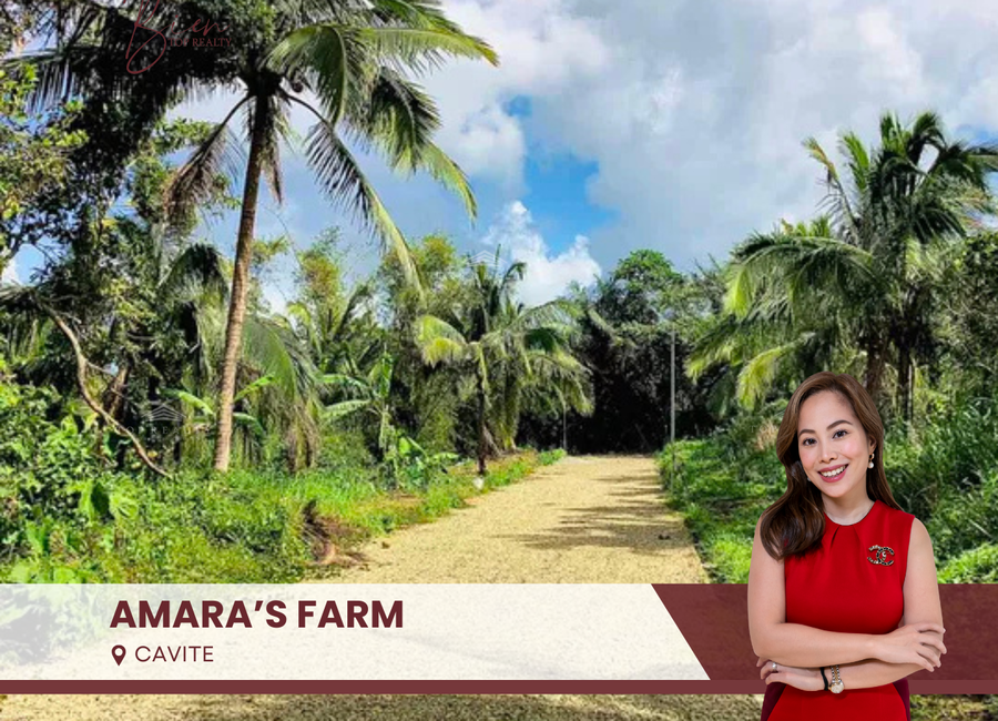 Lot for Sale! Agricultural Lot in Amara’s Farm, Cavite | 1000 sqm ...