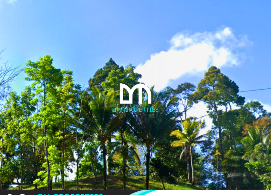 For Sale: Commercial Lot in Tanay, Rizal