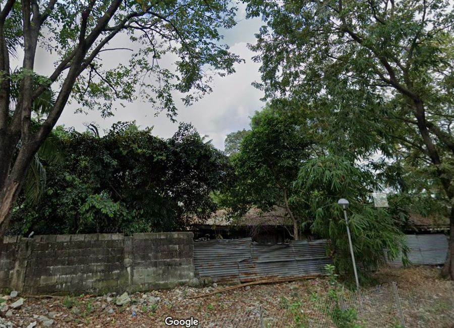 Residential Lot For Sale in Los Tamaraos Village, Brgy. Tambo ...