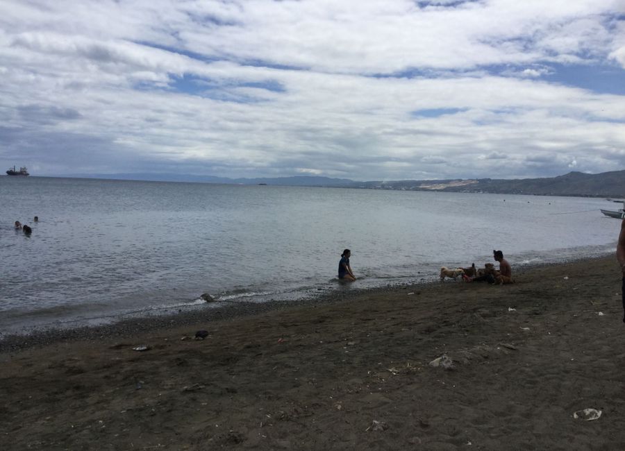 Beach Lot for Sale in Biasong, Talisay, Cebu