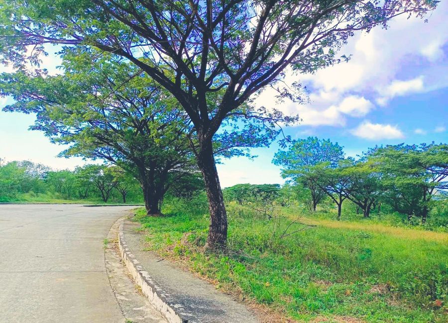 RUSH SALE! PREMIUM LOT AT PALO ALTO BARAS RIZAL WITH NATURAL FALLS