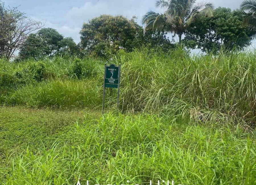 Prime Lots for Sale in Alegria Hills, CDO